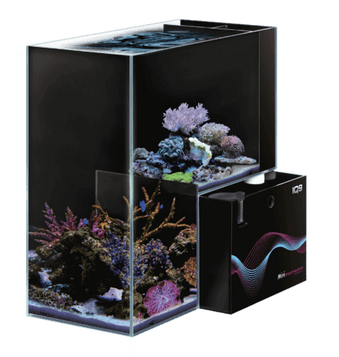 Dymax IQ9 Mini Drop Off Aquarium 48L Marine – Bespoke Aquariums